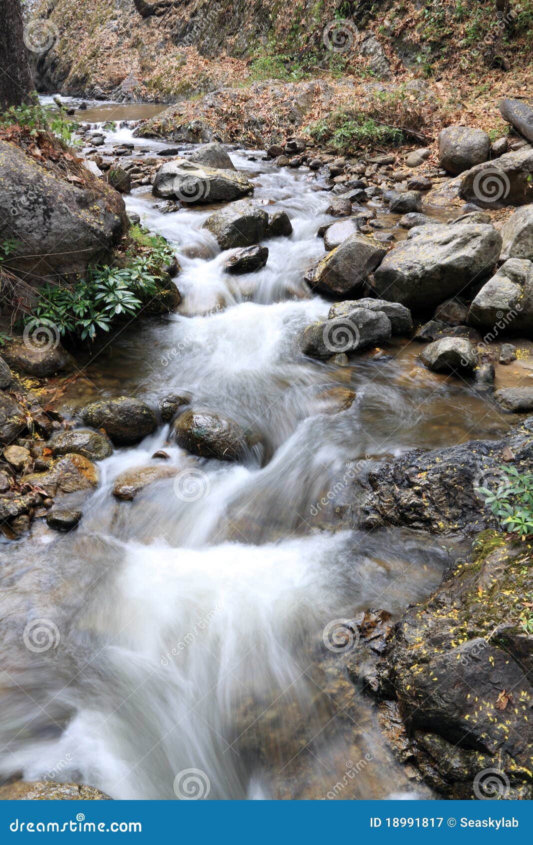 Stream Flowing Into A River Among Wild Plants, Green Grass And A Hill ...