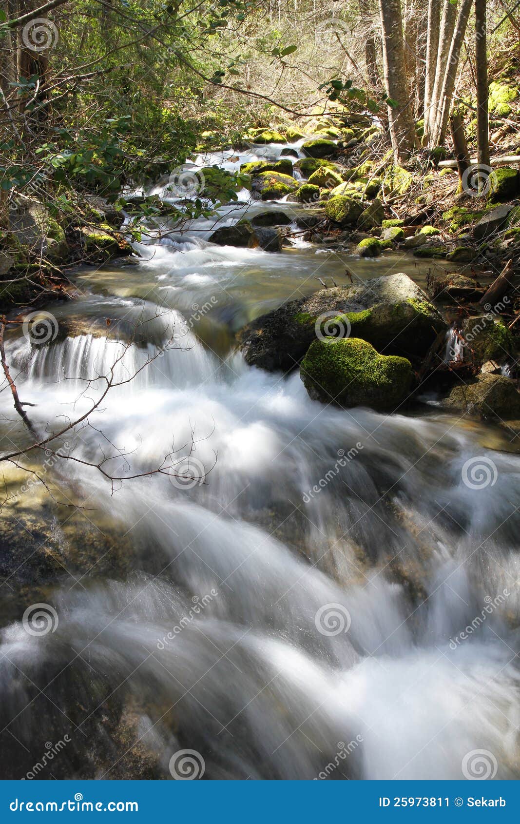 Stream Flowing stock image. Image of natural, flowing - 25973811