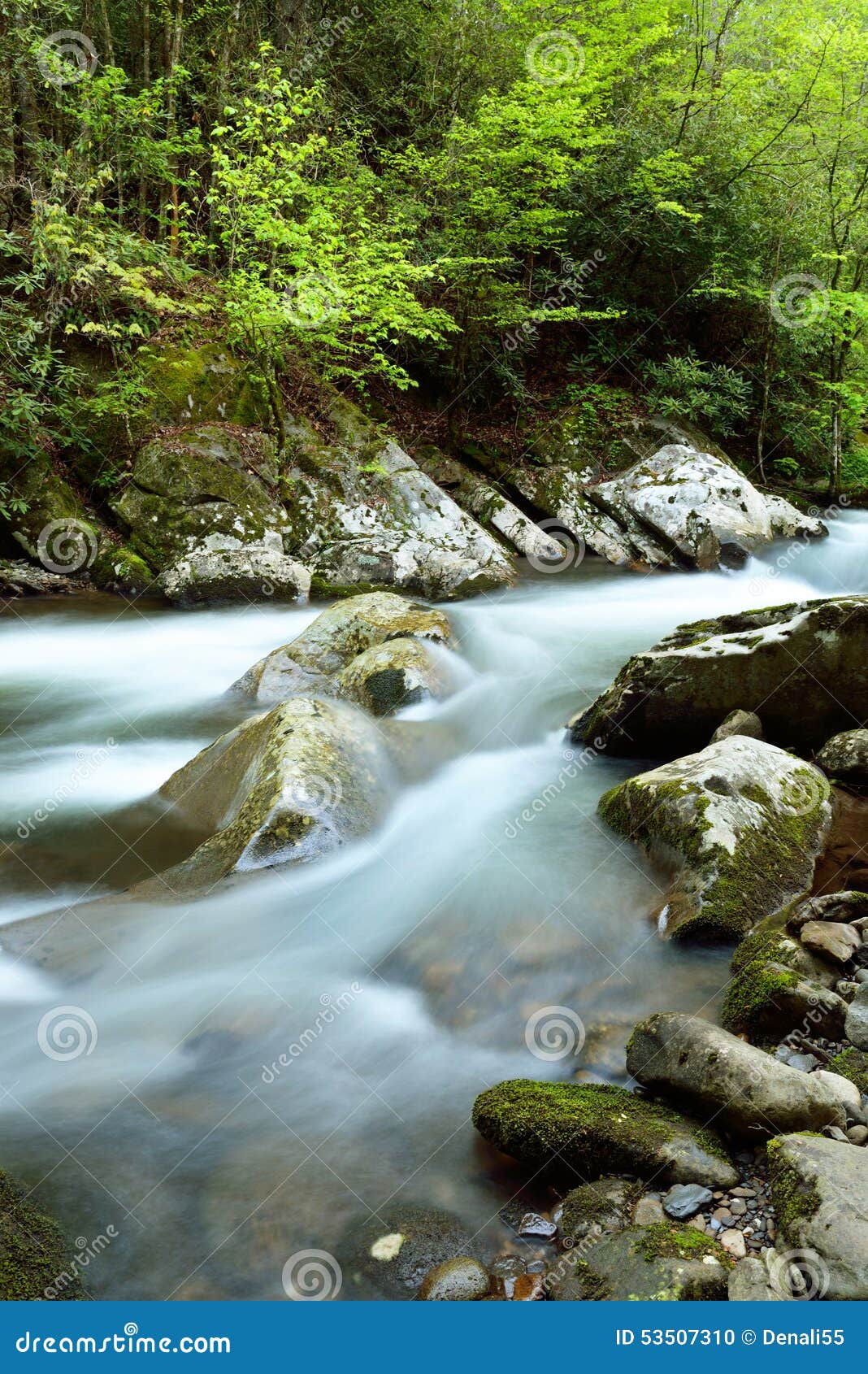 Stream Flowing through Boulders. Stock Photo - Image of water ...