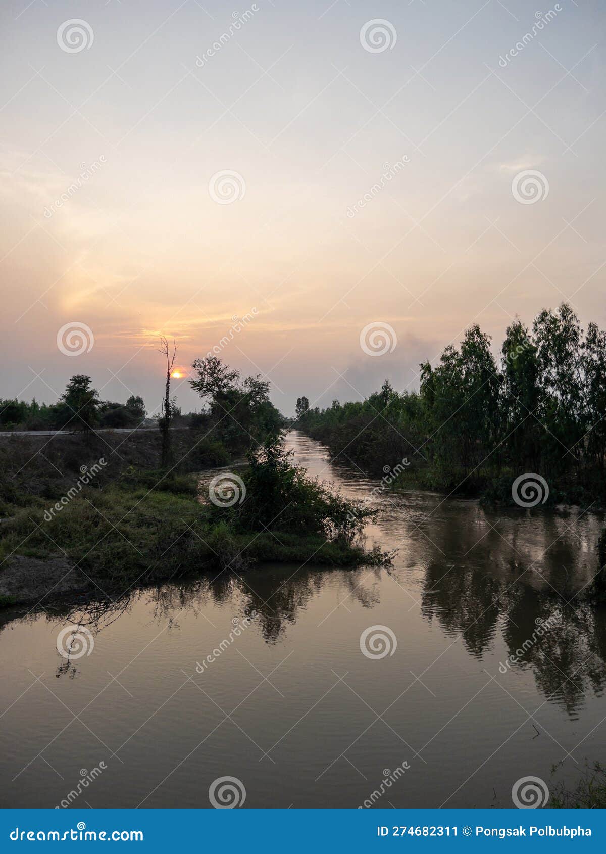 The Stream Flowing in the Canal for Irrigation Stock Image - Image of ...