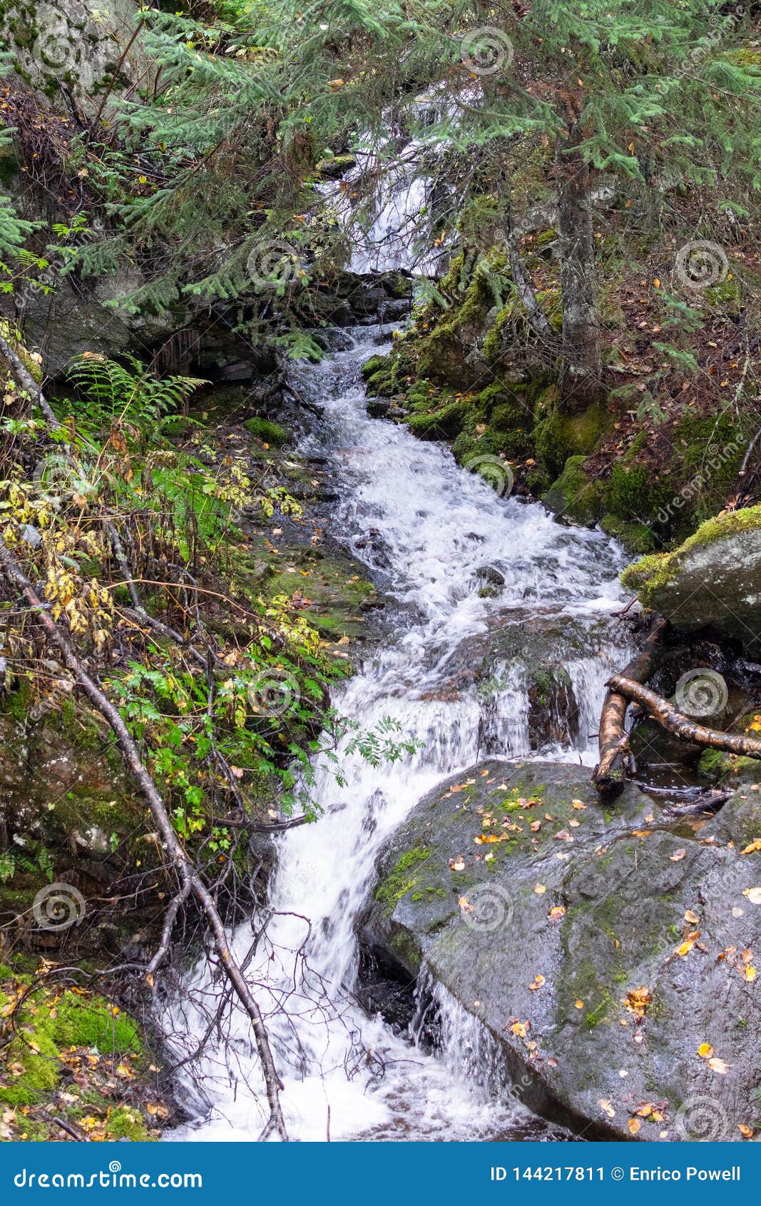 Stream Flowing Down the Mountain Surrounded by Rocks and Autumn Colored ...