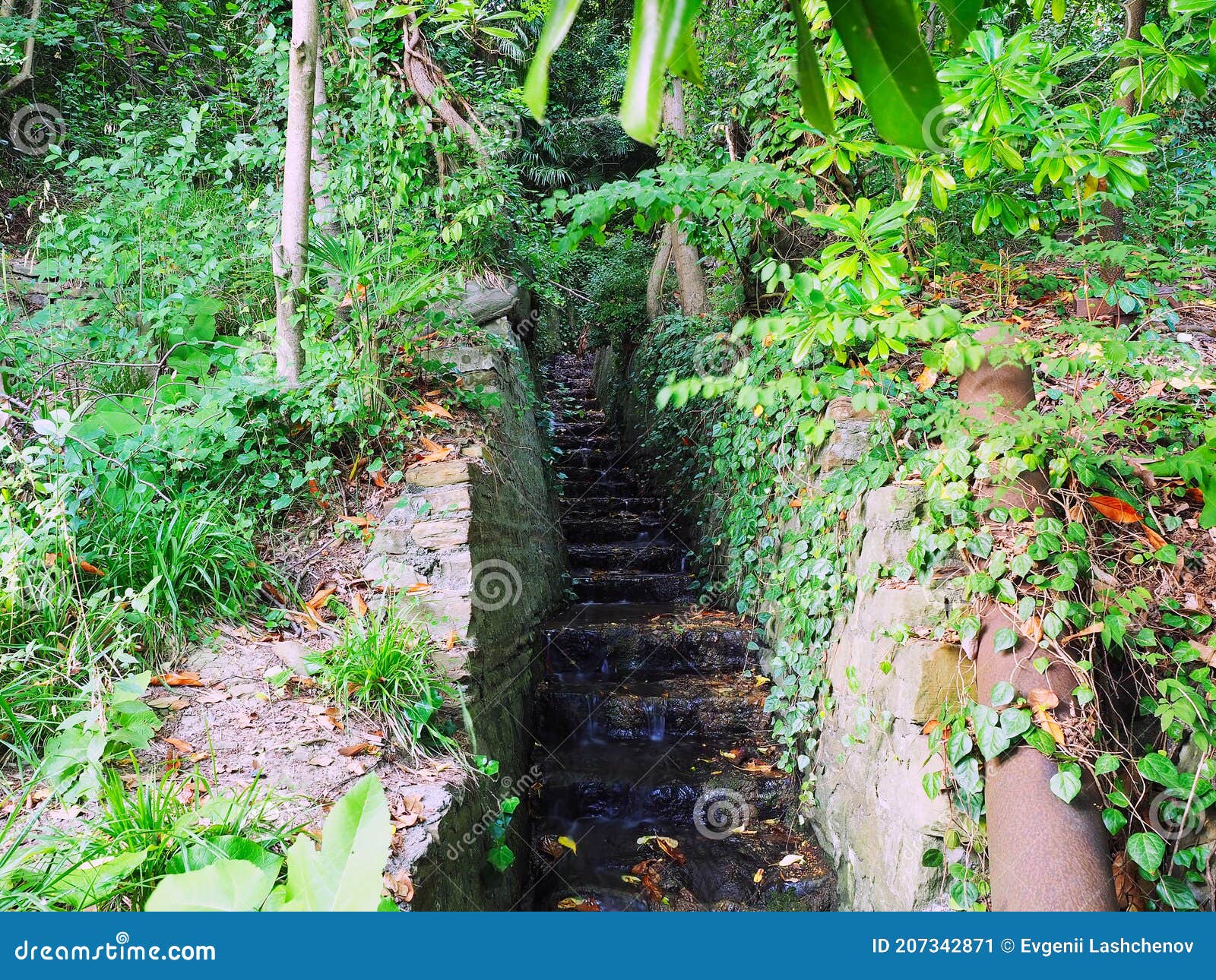 Stream Flowing Down the Steps Located between the Curbs in the ...