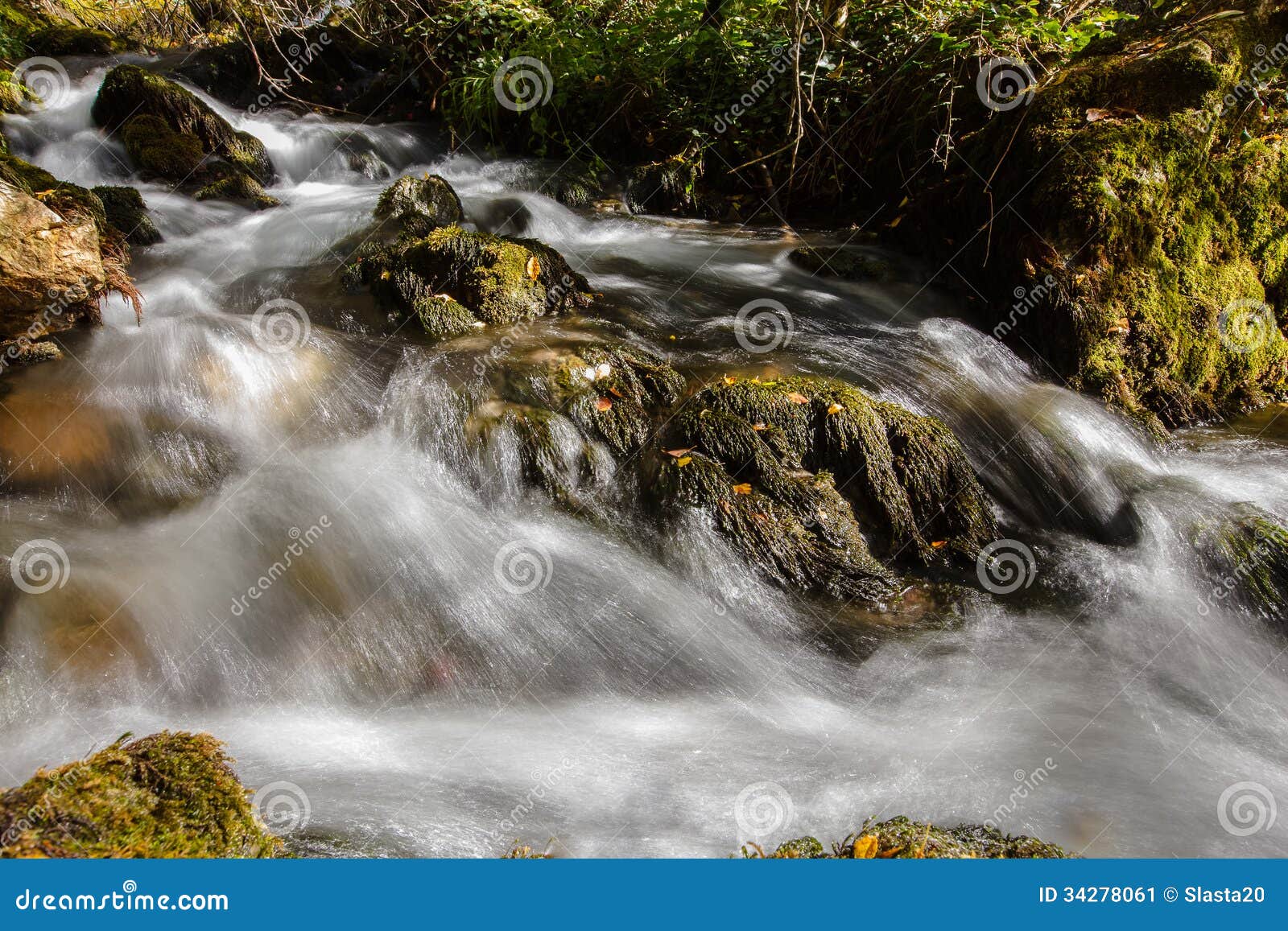 Stream flowing in forest stock image. Image of green - 34278061