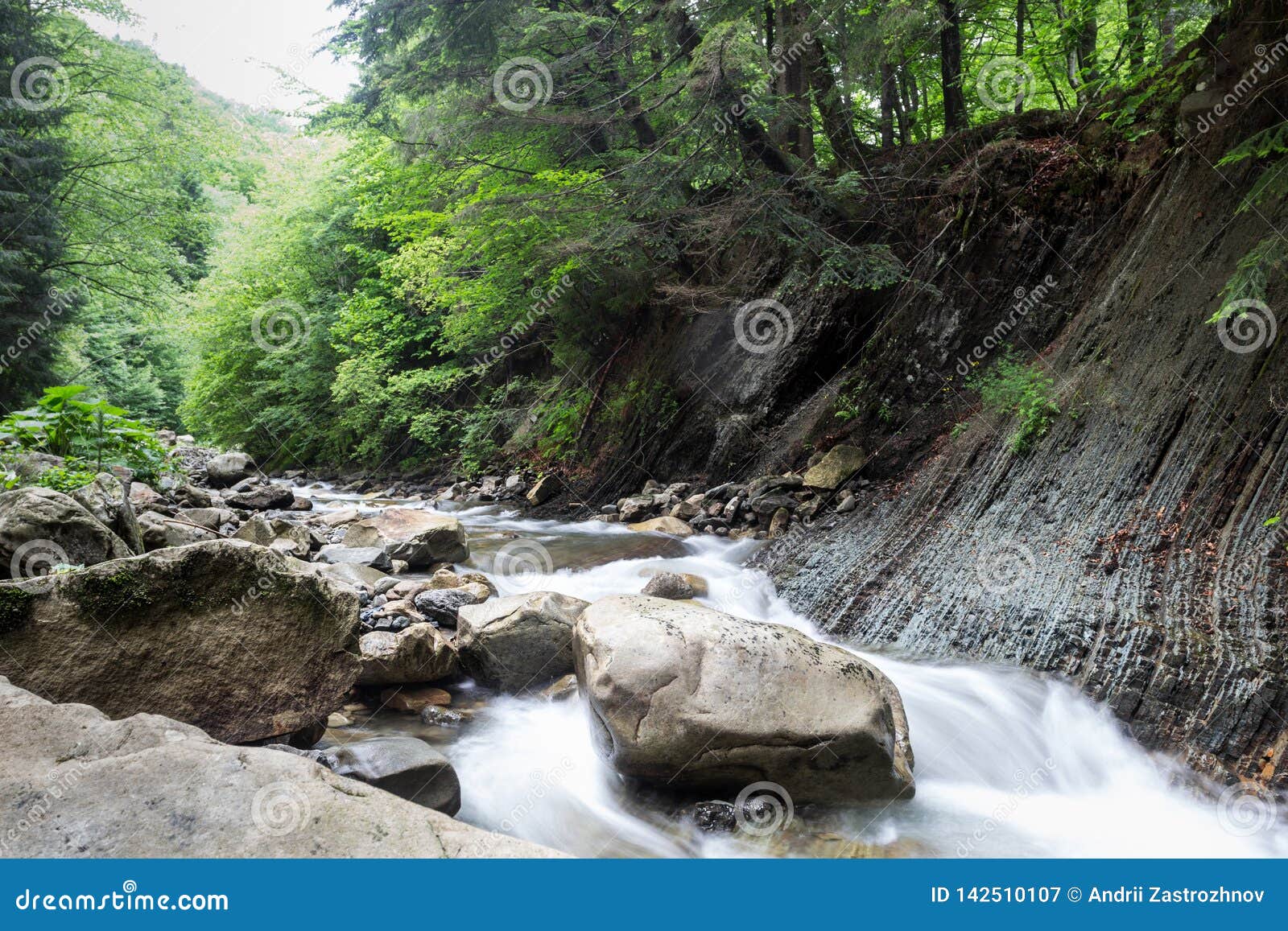 Stream Flowing through the Forest from the Mountain Slope. Big Stone in ...