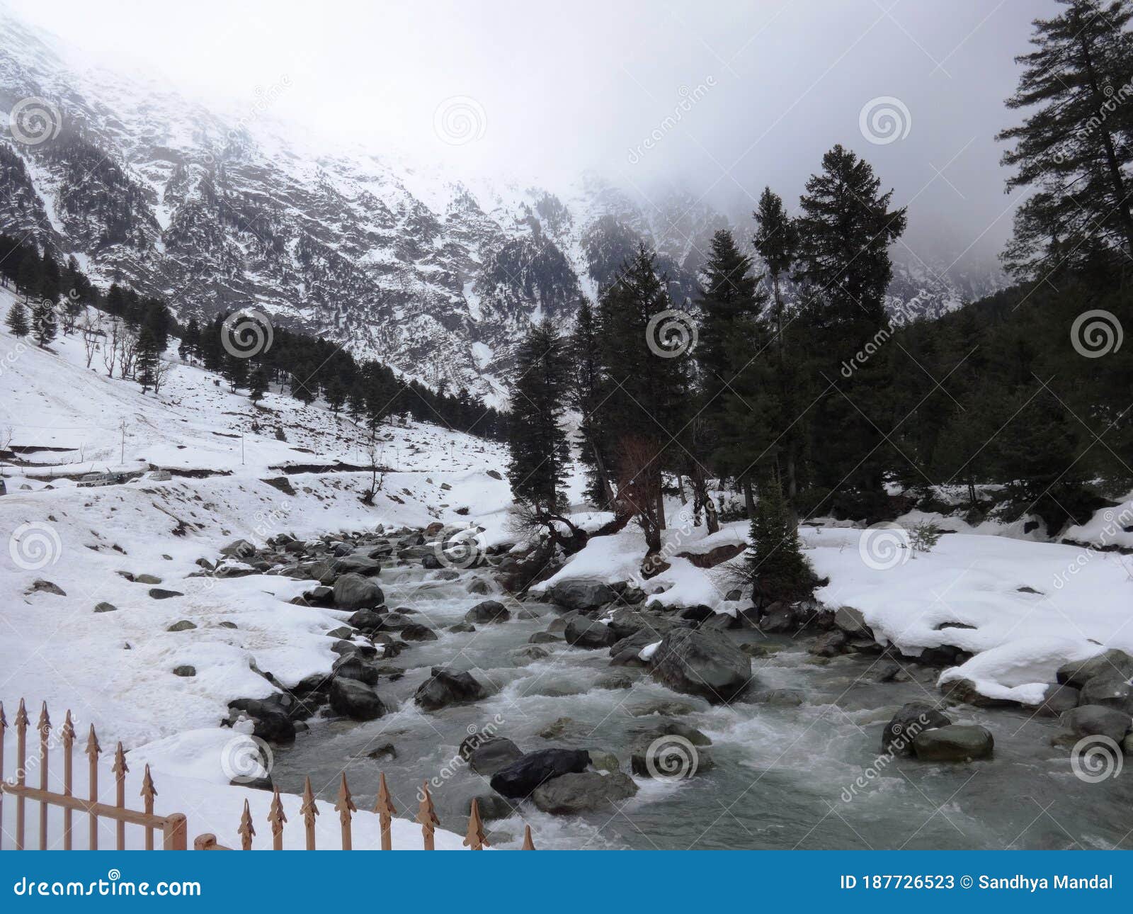 Stream Flowing through a Frozen Valley Stock Image - Image of sonmarg ...