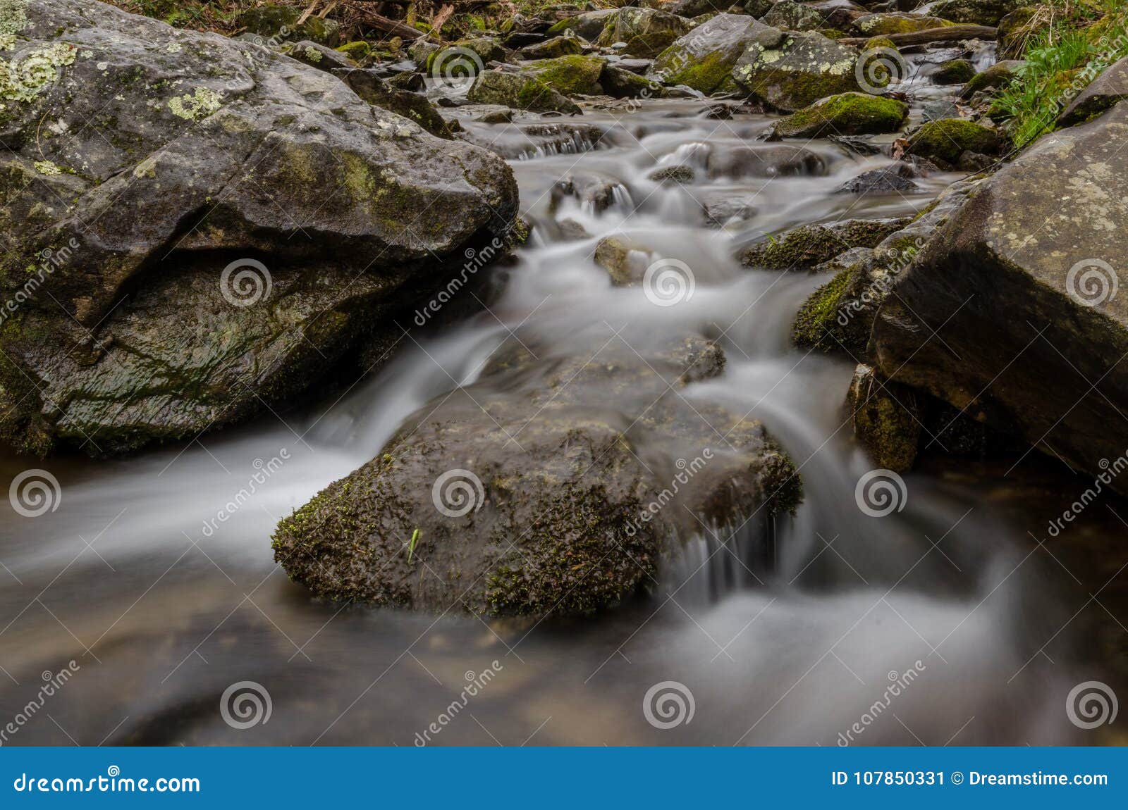 Two Diverging Paths In A Lush Green Park In Sydney Stock Photography ...