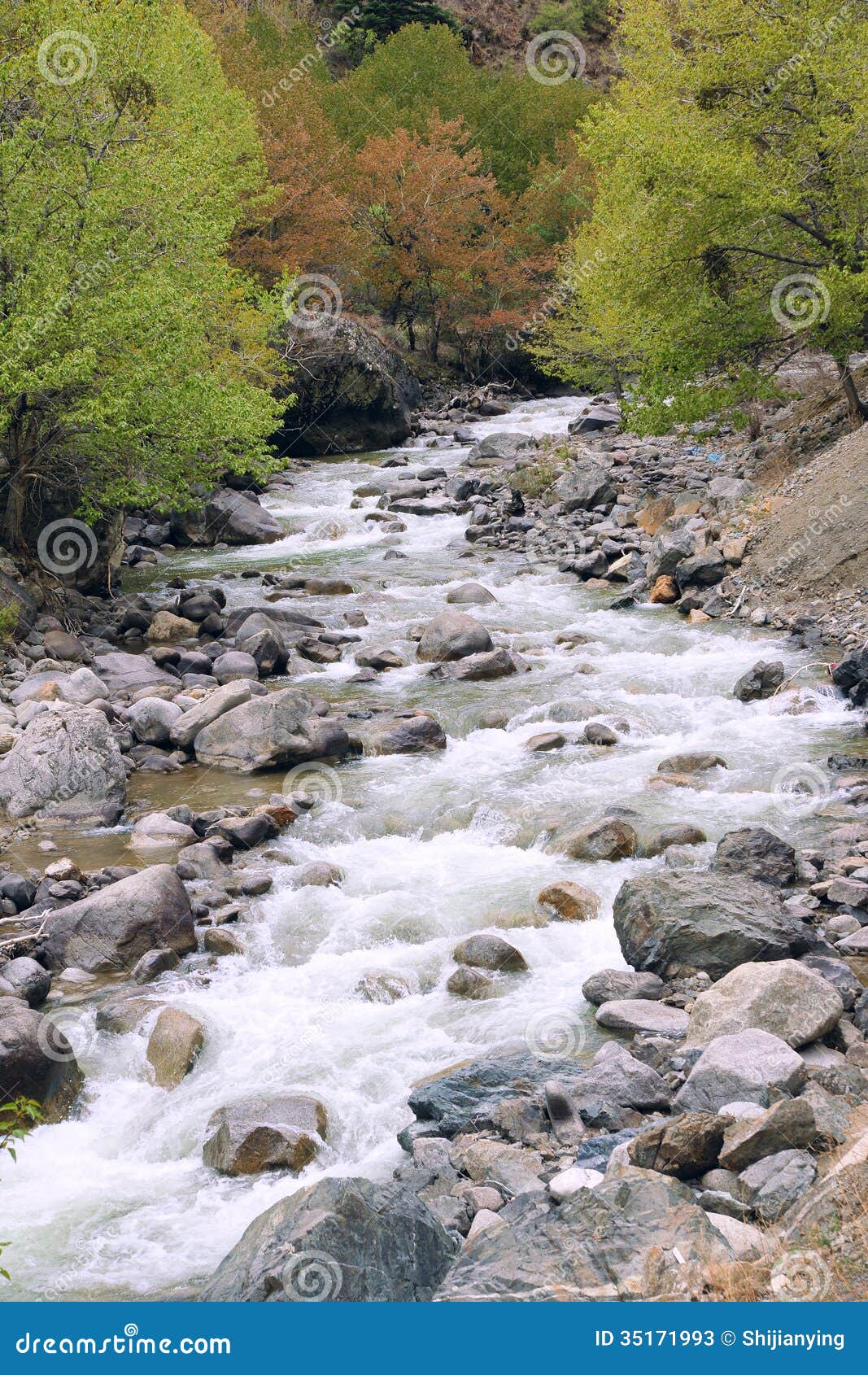 Stream stock image. Image of rocks, flowing, flow, rivulet - 35171993