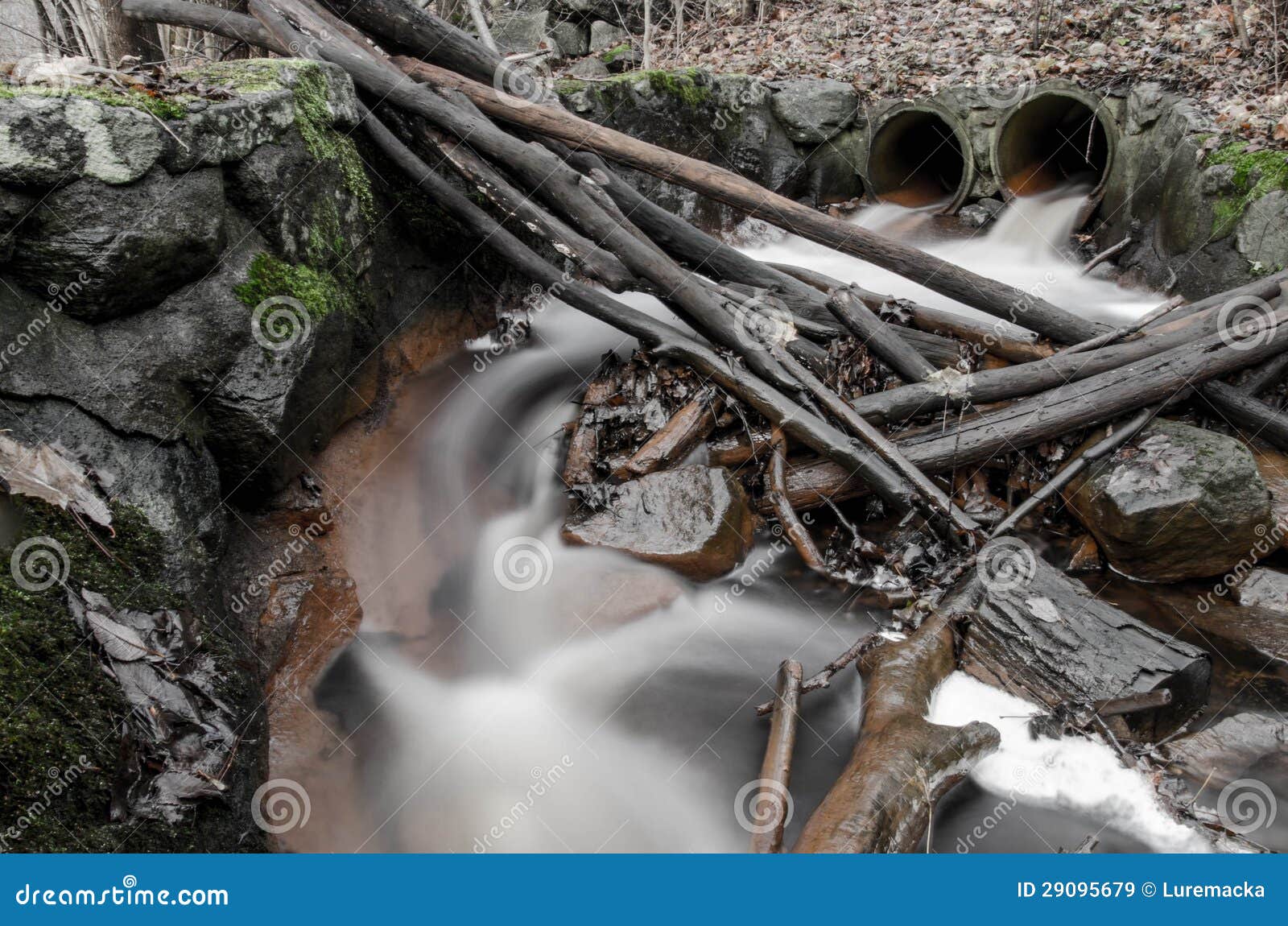 Stream Flowing between Rocks and Branches Stock Image - Image of ...