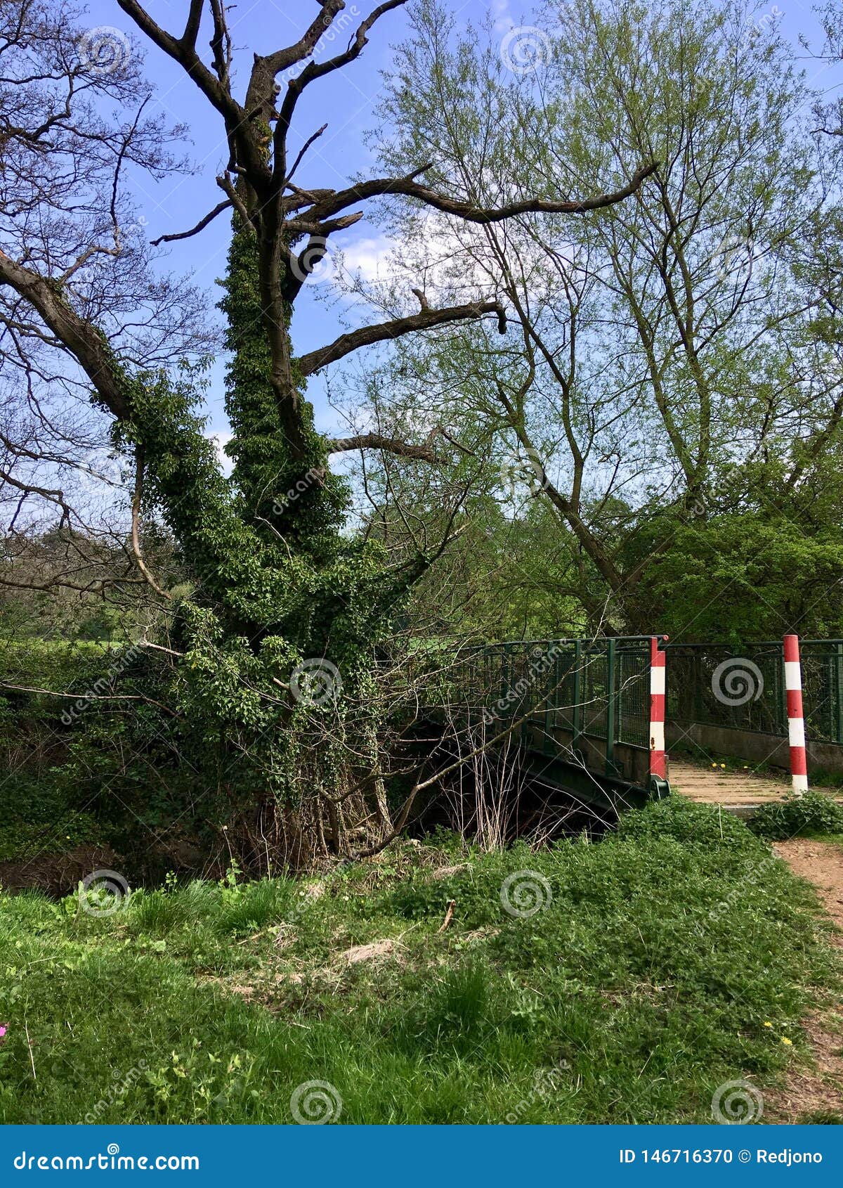 Bridge Over the River Swift Stock Photo - Image of architecture ...