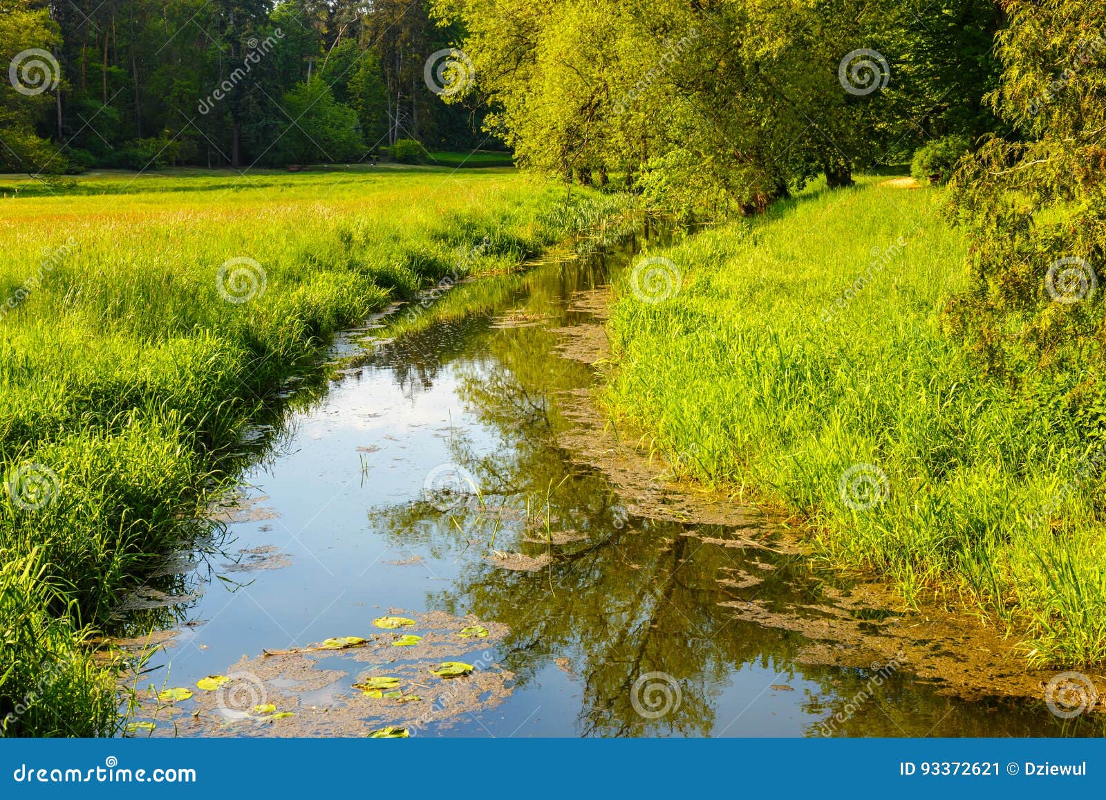 Stream Flowing through the Spring Garden Stock Image - Image of fresh ...
