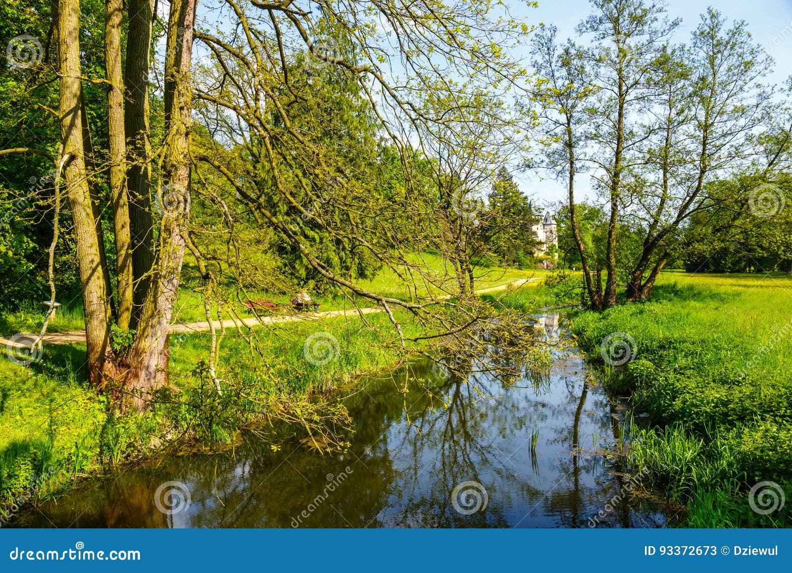 Stream Flowing through the Spring Garden Stock Image - Image of fall ...