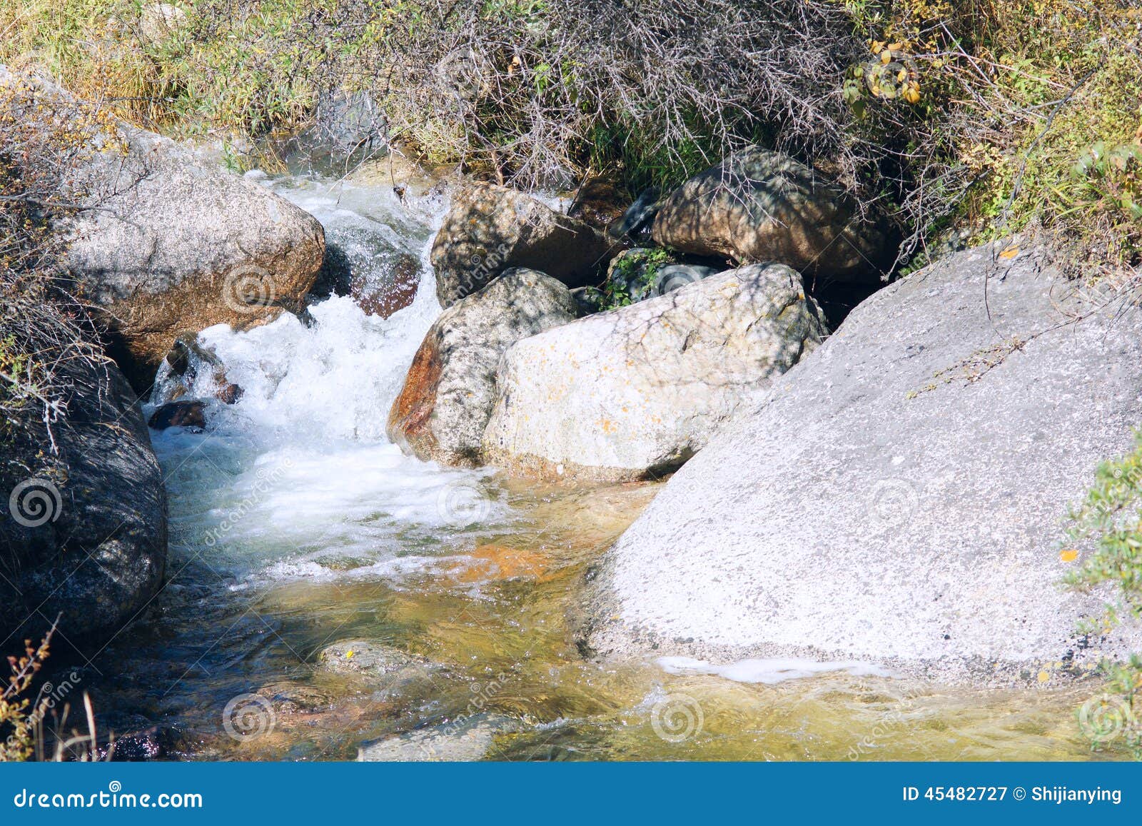 Stream stock image. Image of flow, stream, stones, bush - 45482727