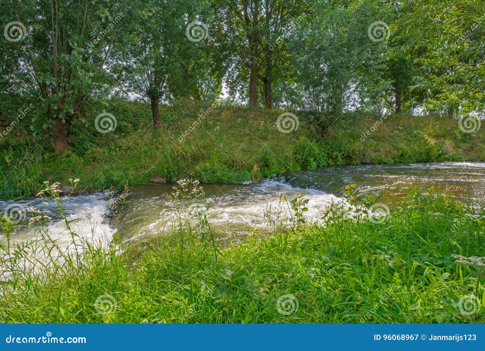 Stream Flowing through a Tree Lined Field in Sunlight Stock Image ...