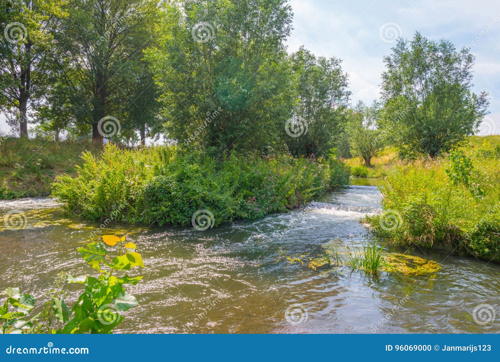 Stream Flowing through a Tree Lined Field in Sunlight Stock Photo ...