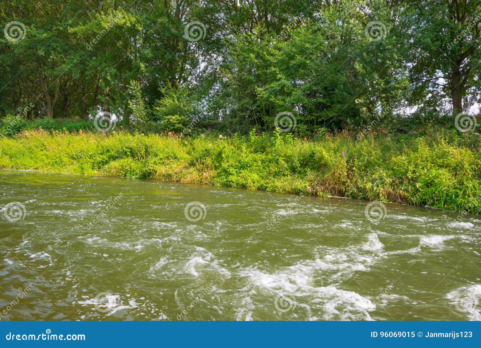 Stream Flowing through a Tree Lined Field in Sunlight Stock Image ...