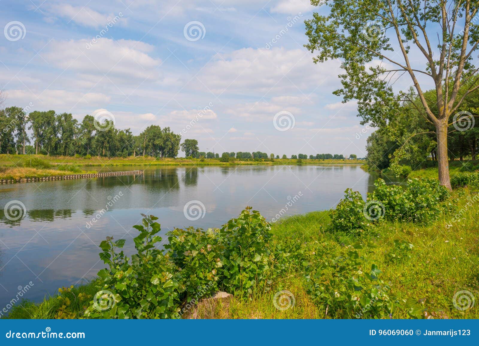 Stream Flowing through a Tree Lined Field in Sunlight Stock Photo ...
