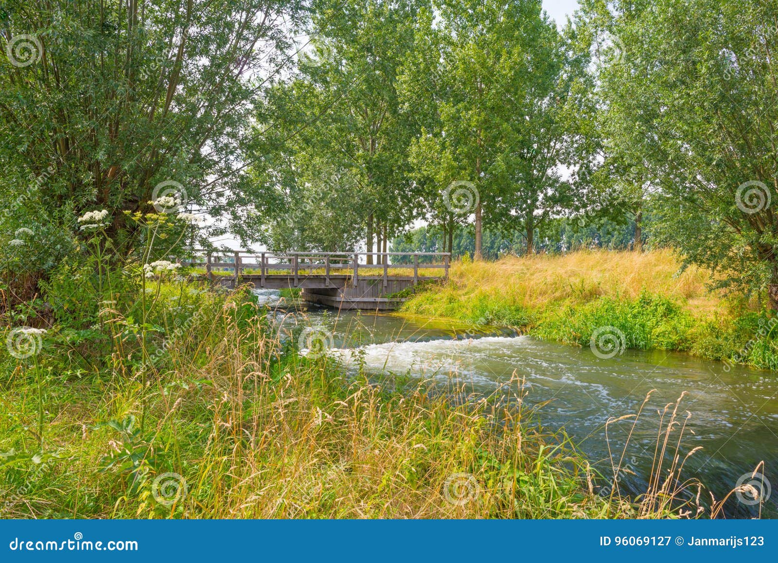 Stream Flowing through a Tree Lined Field in Sunlight Stock Image ...