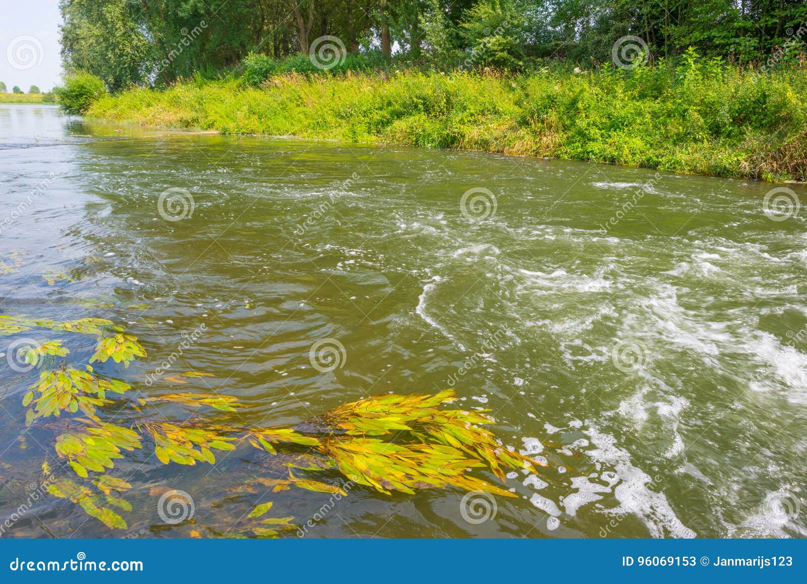 Stream Flowing through a Tree Lined Field in Sunlight Stock Image ...