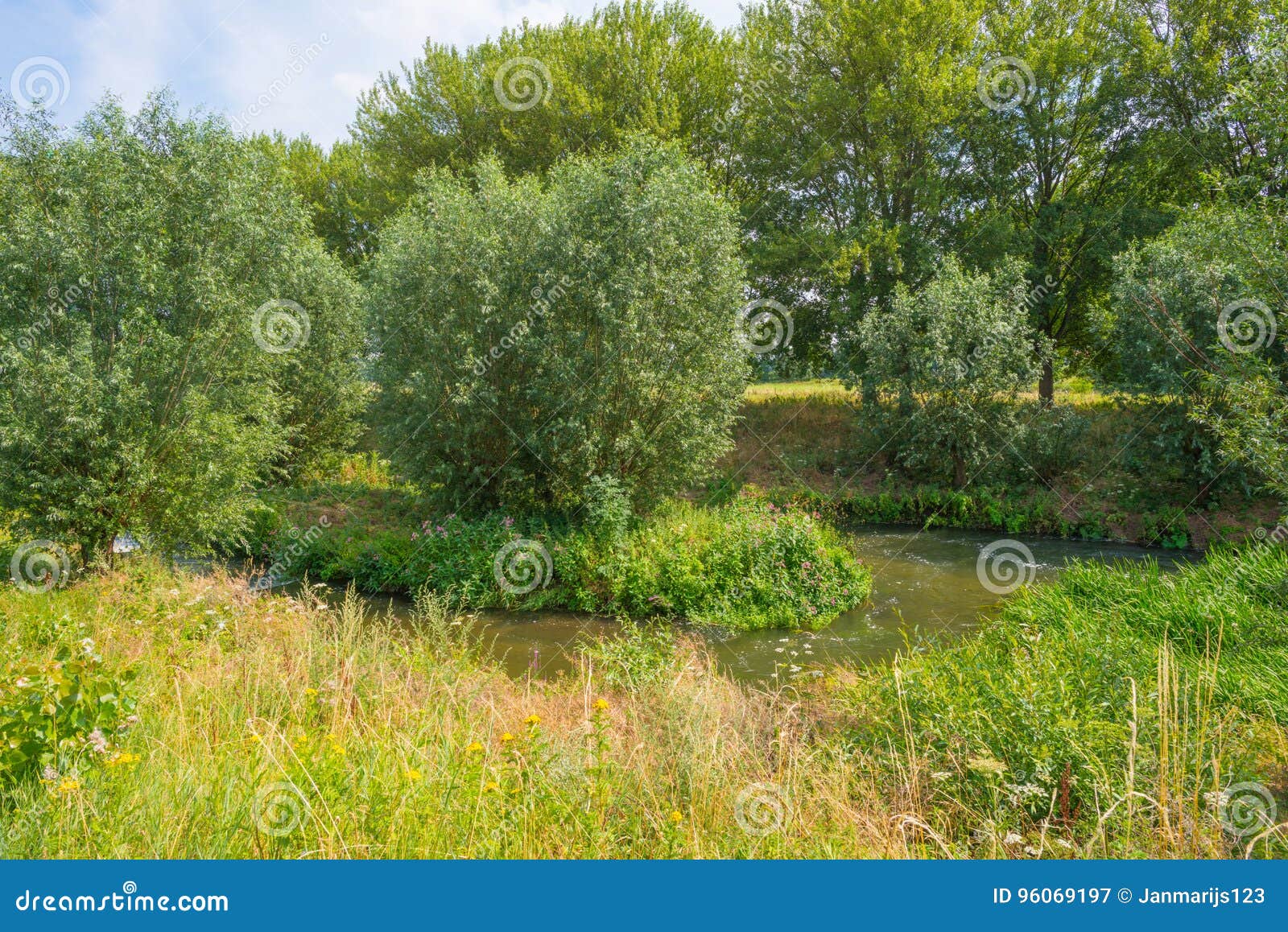 Stream Flowing through a Tree Lined Field in Sunlight Stock Image ...