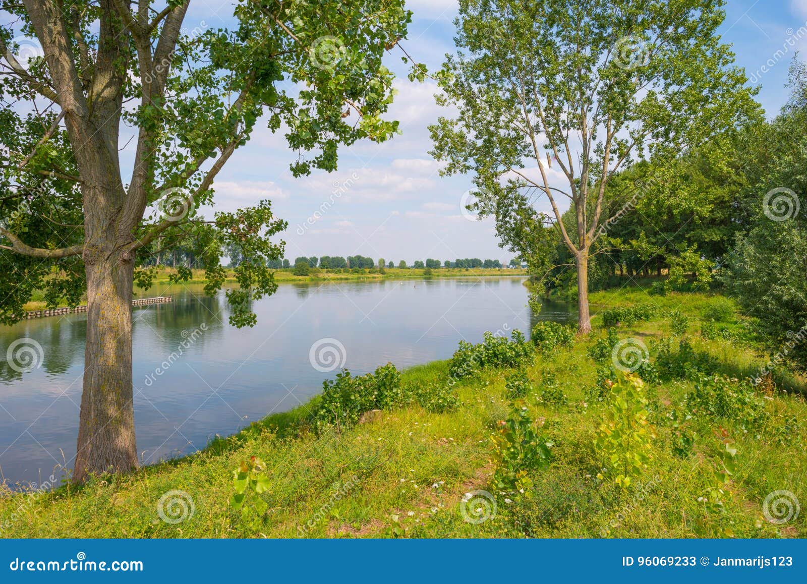 Stream Flowing through a Tree Lined Field in Sunlight Stock Image ...