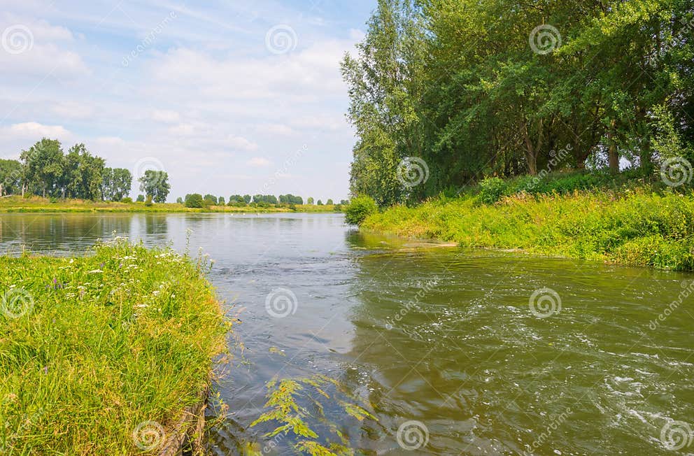 Stream Flowing through a Tree Lined Field in Sunlight Stock Image ...