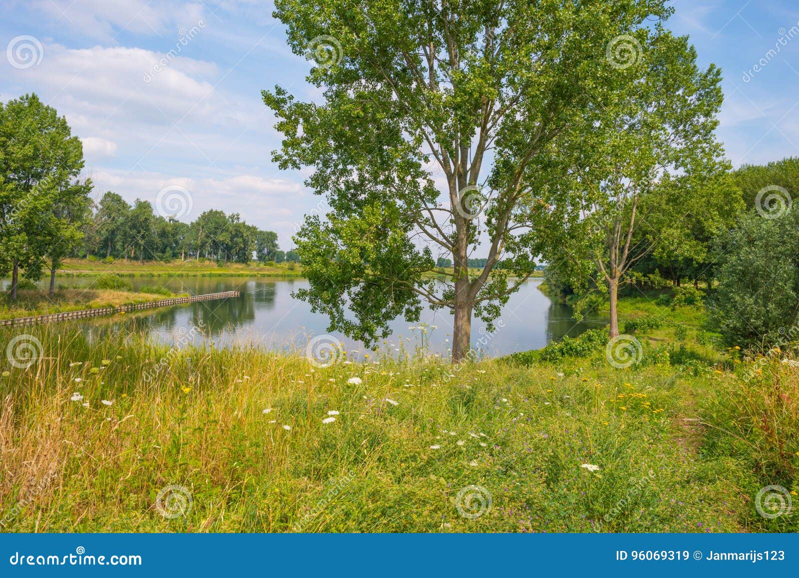 Stream Flowing through a Tree Lined Field in Sunlight Stock Image ...