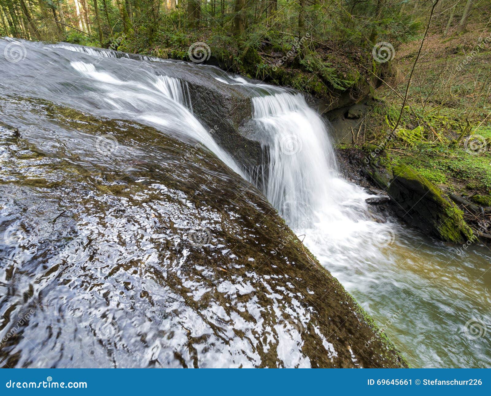 Stream with flowing water stock image. Image of alpine - 69645661