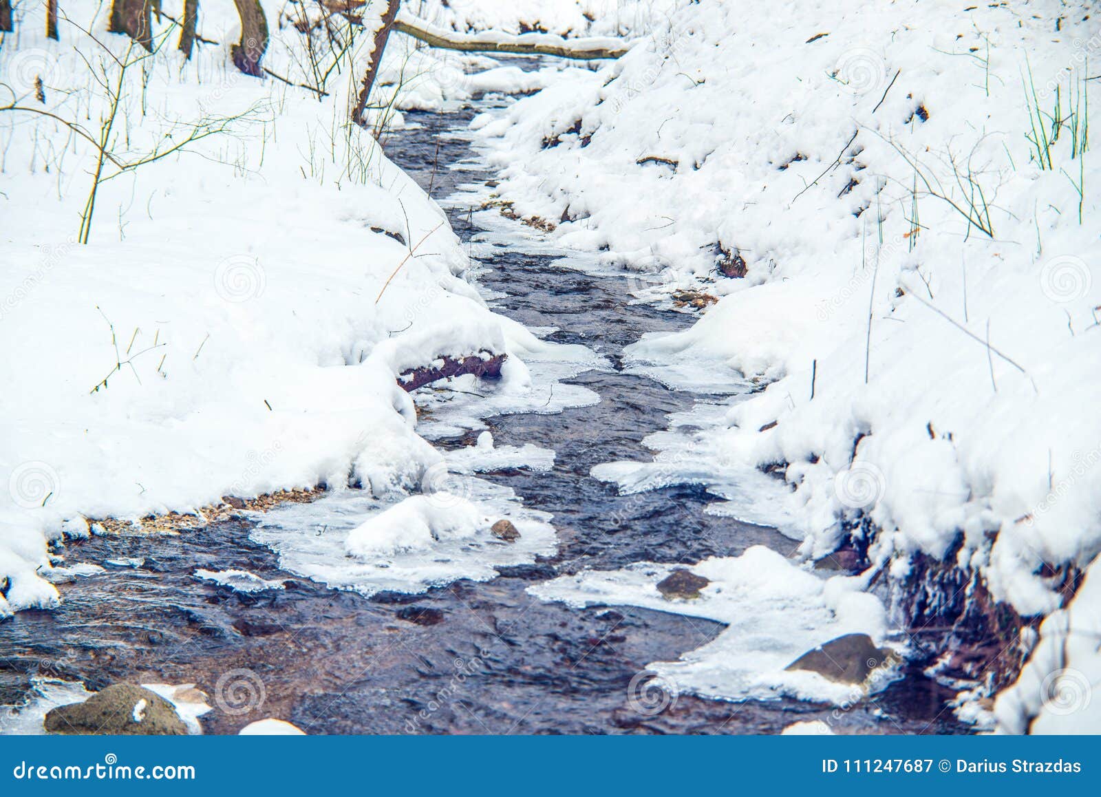 Stream Flowing in Winter Forest Stock Image - Image of nature, river ...