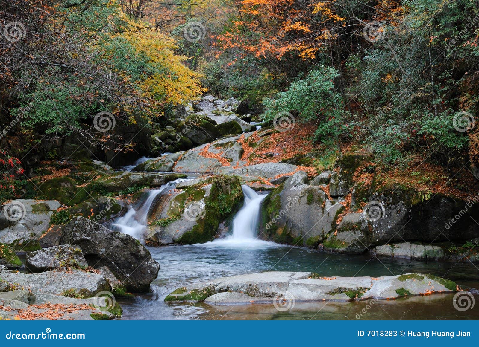 Stream Flowing through Woods Stock Image - Image of flow, woods: 7018283