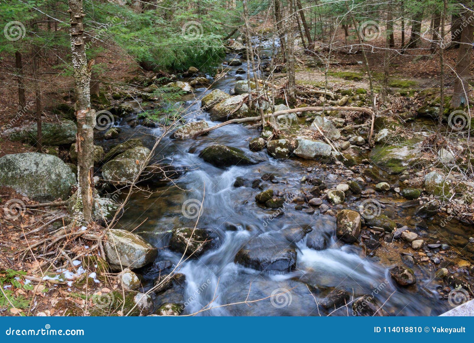 Stream Flowing through the Woods in Early Spring Stock Photo - Image of ...