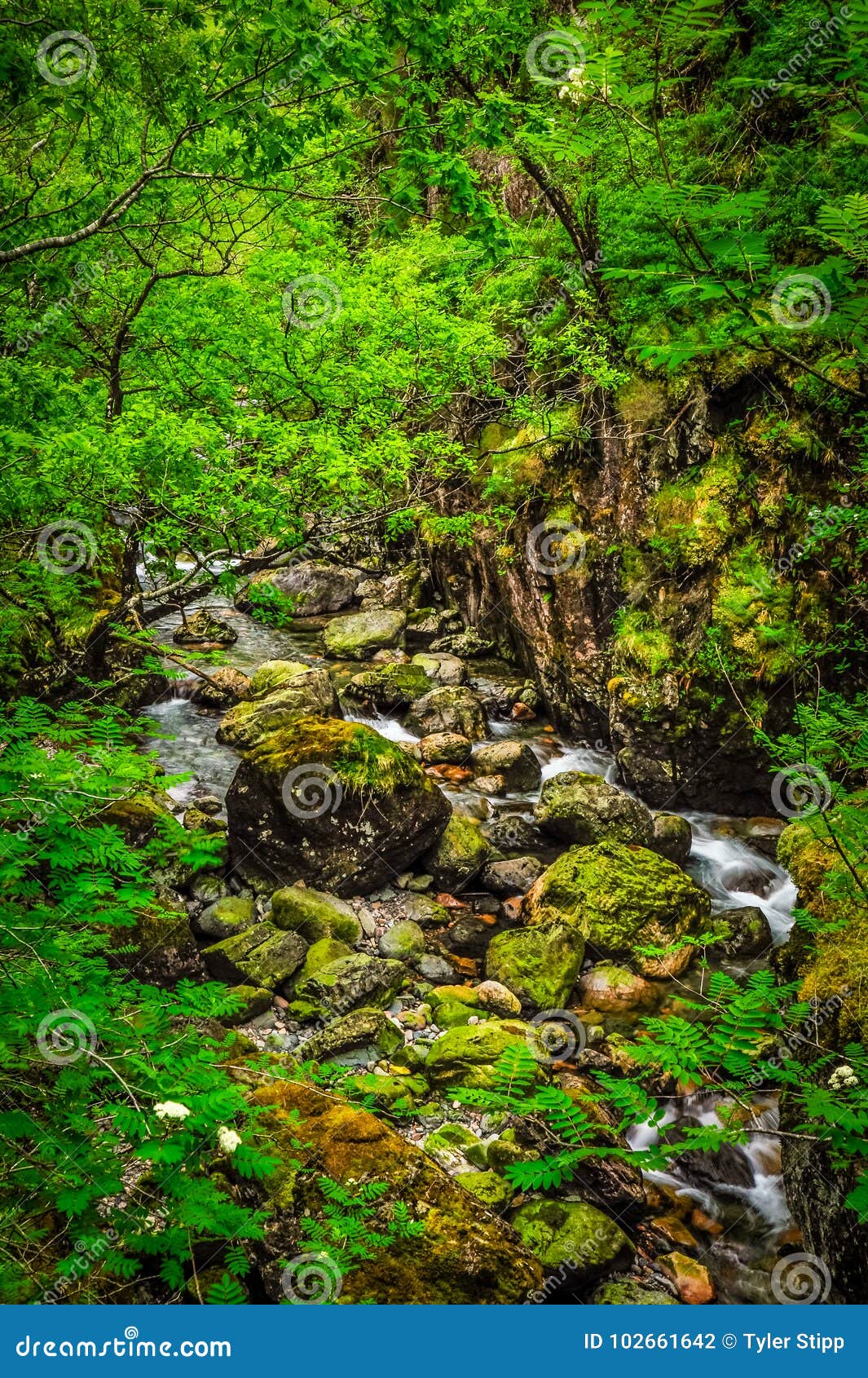 Peaceful Stream stock photo. Image of clean, aonach - 102661642