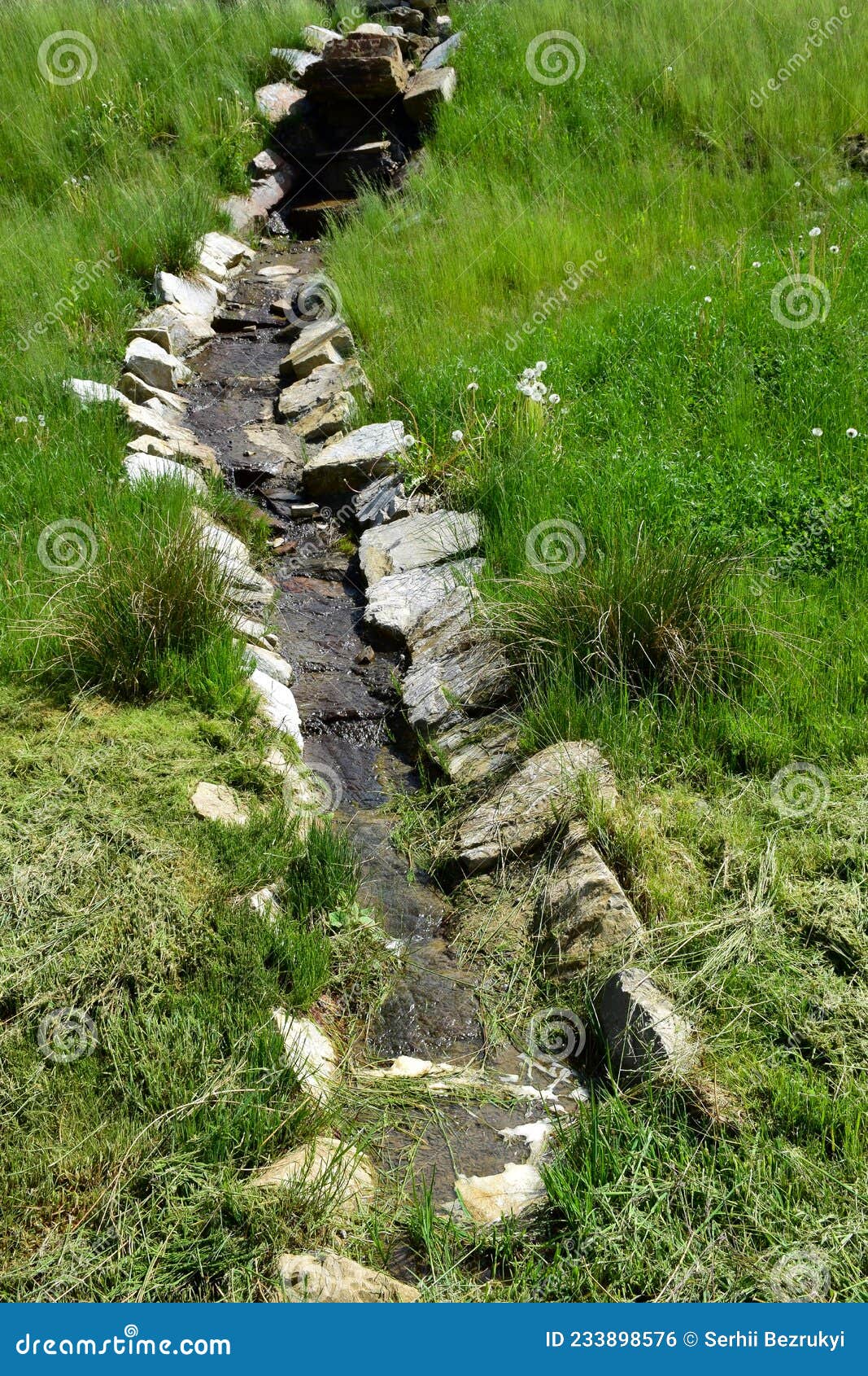 A Stream Flows in the Grass, Surrounded by Stones at the Edges Stock ...
