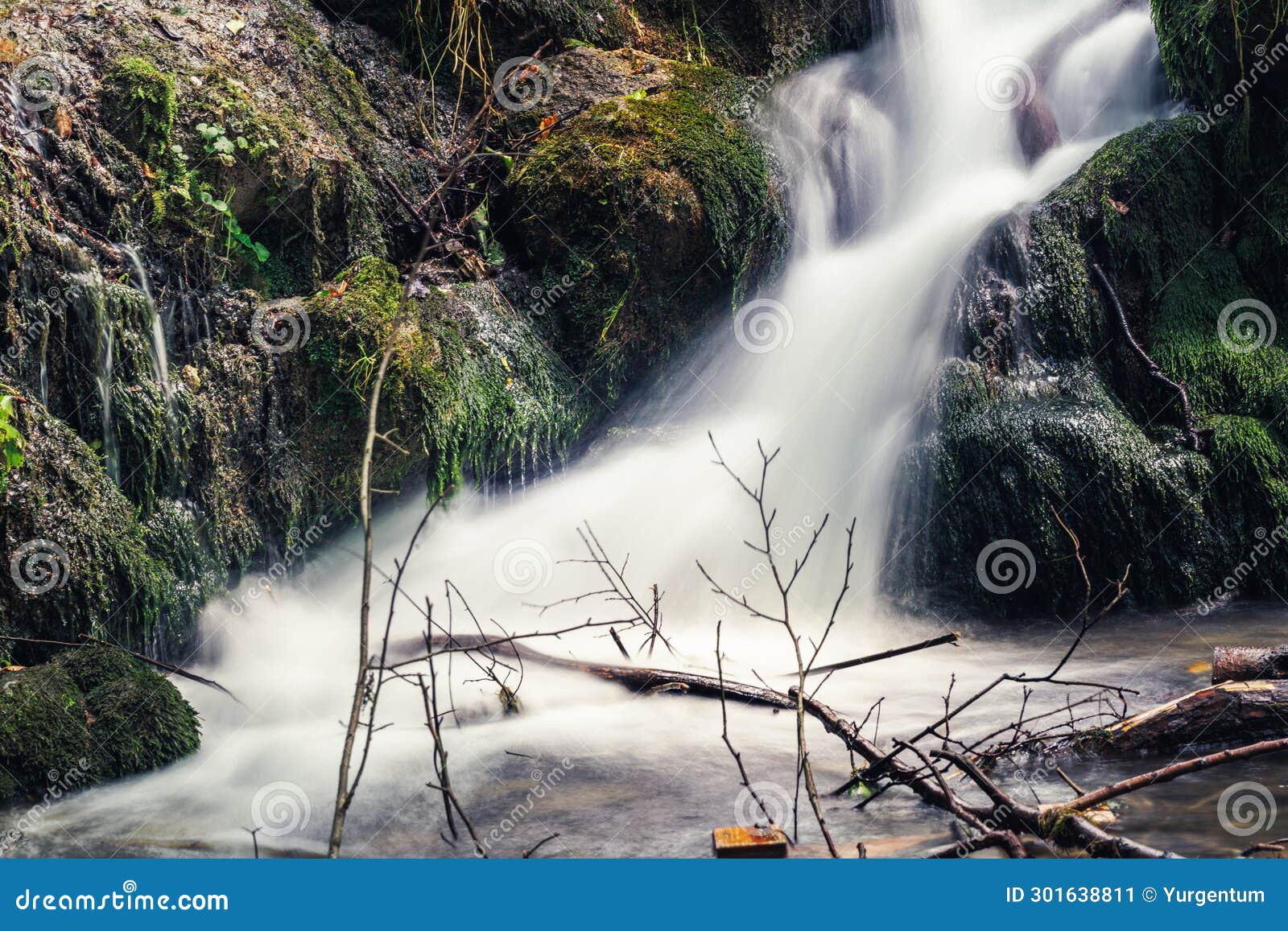 A Stream Flows Like a Waterfall Stock Image - Image of forest, outdoors: 301638811