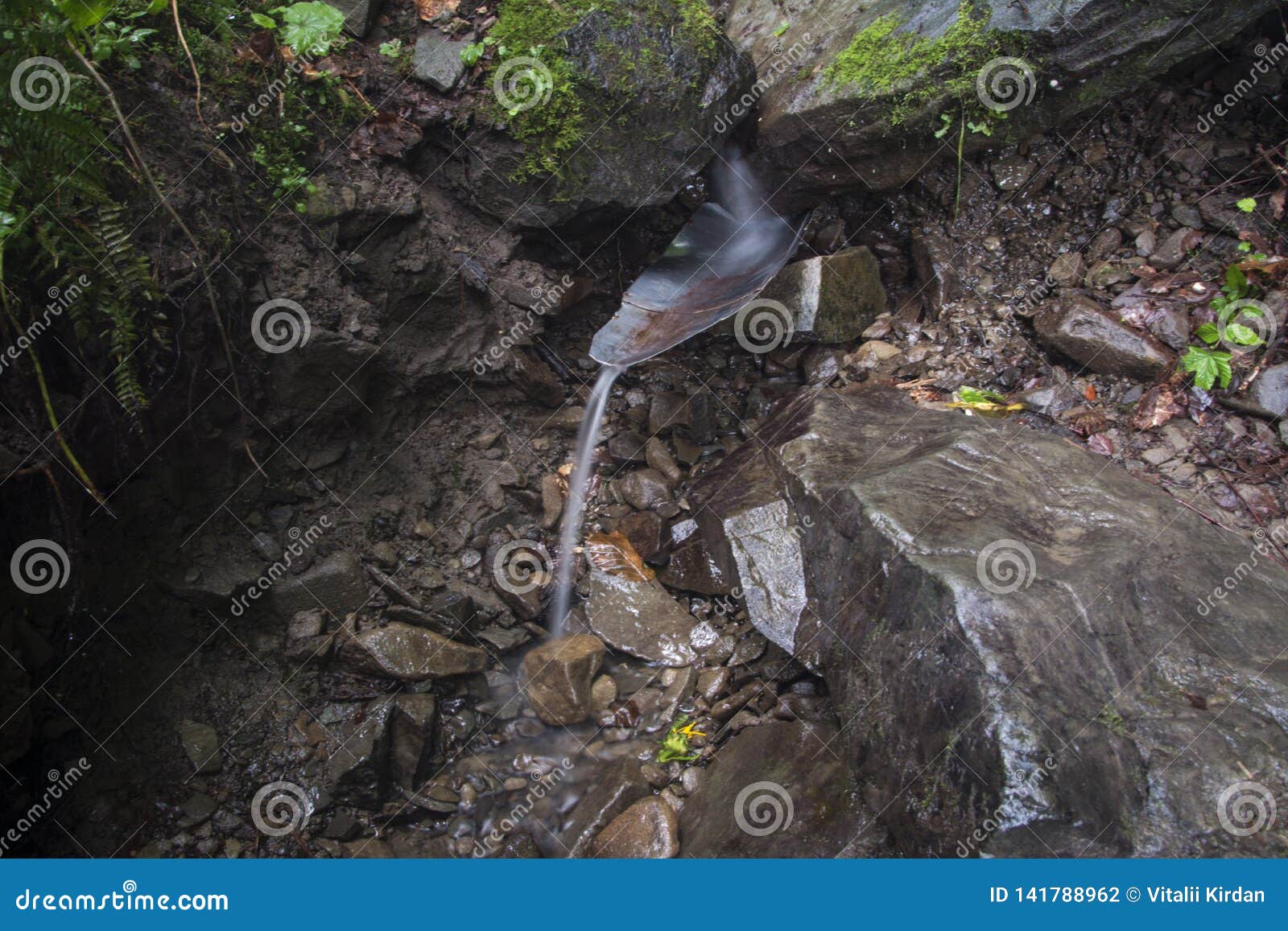 Stream Flows from a Mountain Spring Stock Photo - Image of scene ...