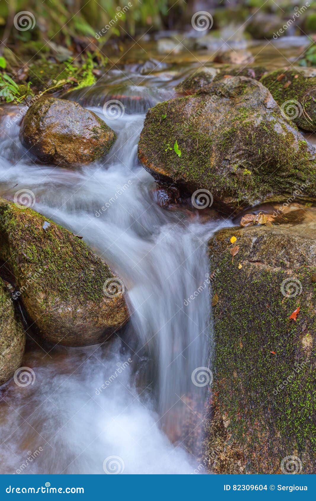 The Stream Flows through Rocks. Stock Photo - Image of autumn, concept ...