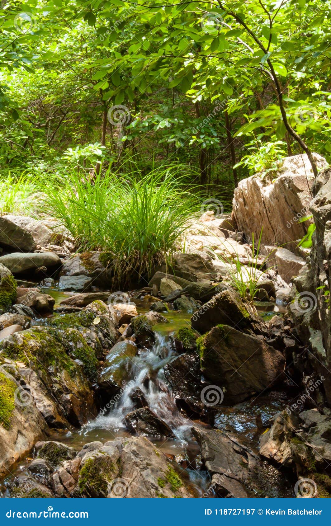 Stream Flows into a Rocky Cascade Stock Image - Image of forestry ...