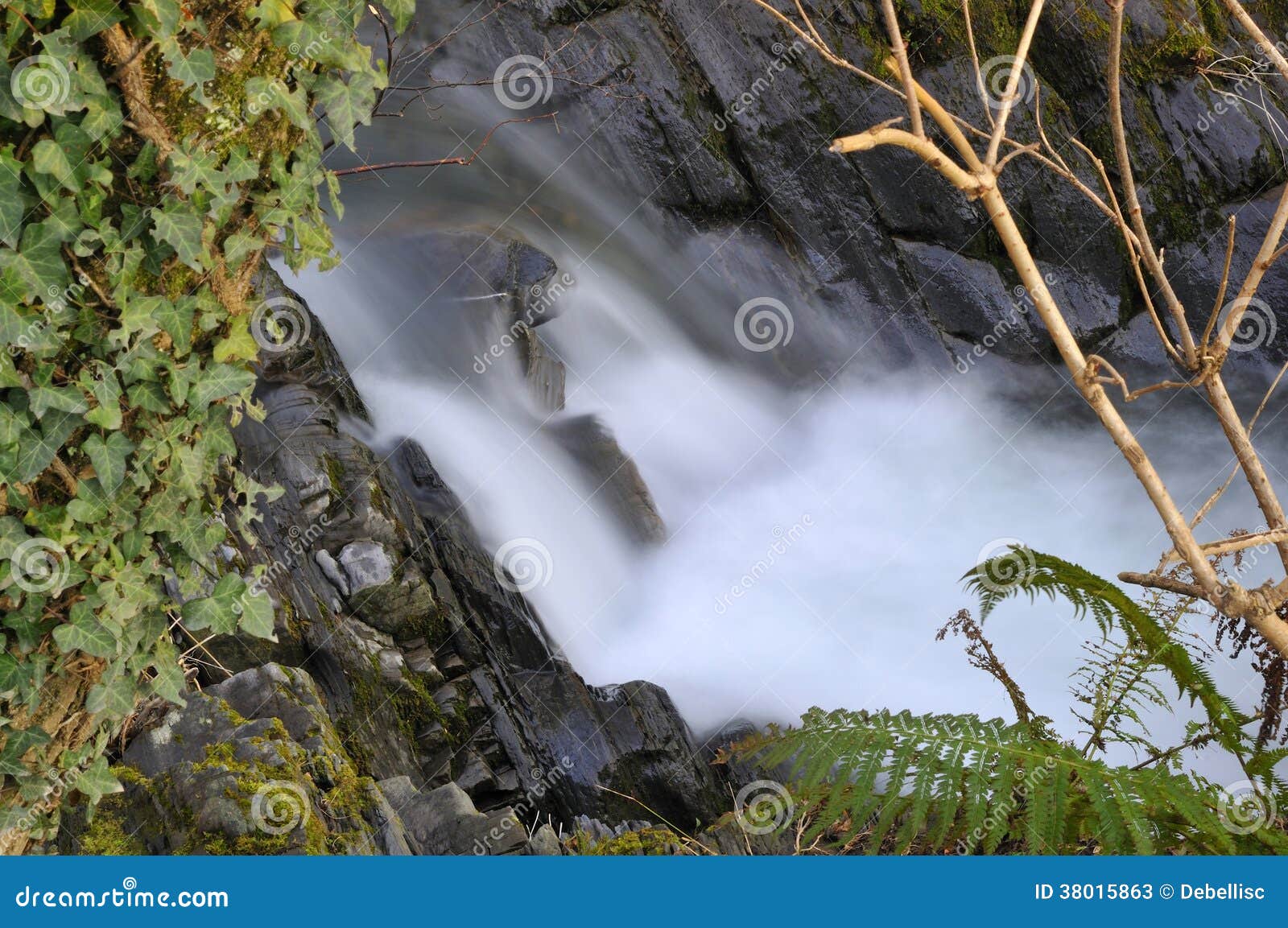 Stream and fluid movement stock image. Image of jungle - 38015863
