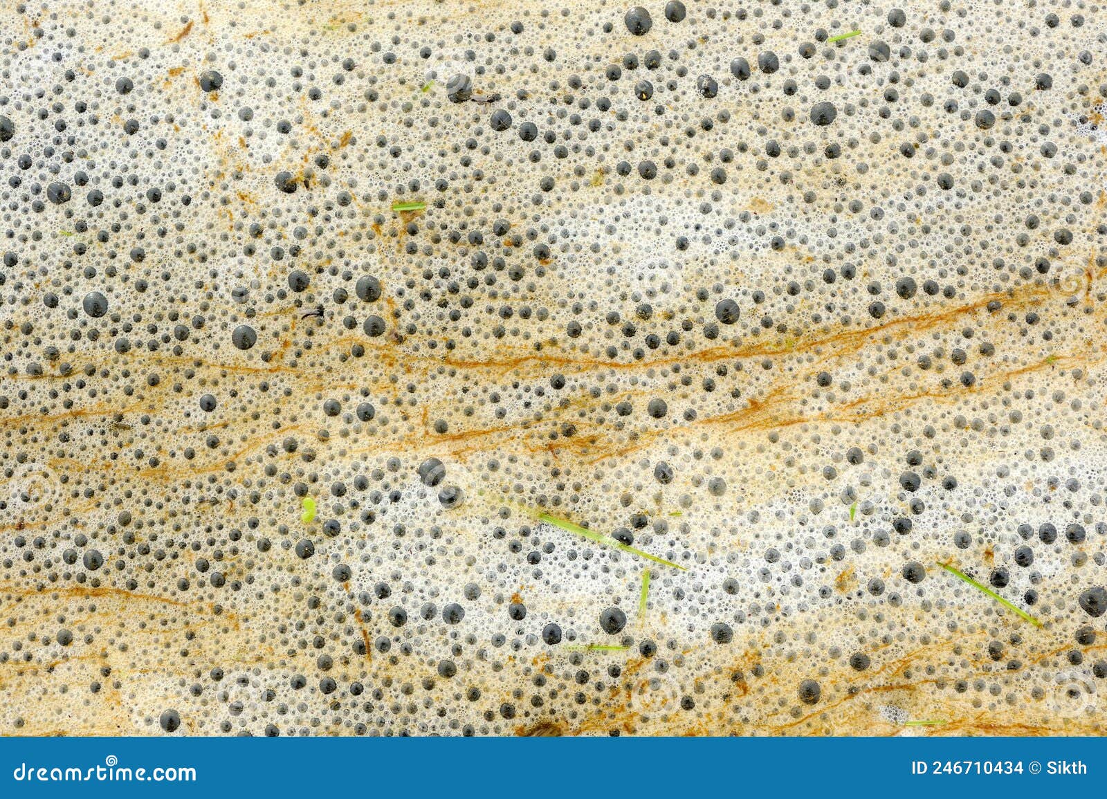 Stream Foam in River stock photo. Image of organic, seasonal - 246710434