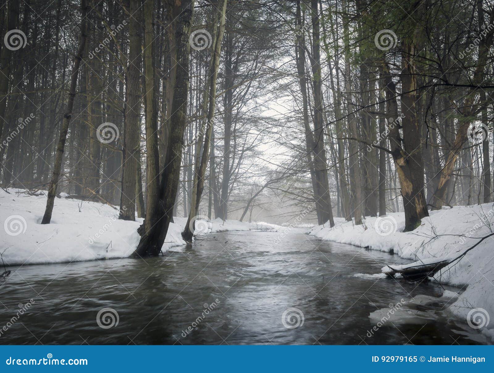Stream in Foggy Forest stock image. Image of creek, winter - 92979165