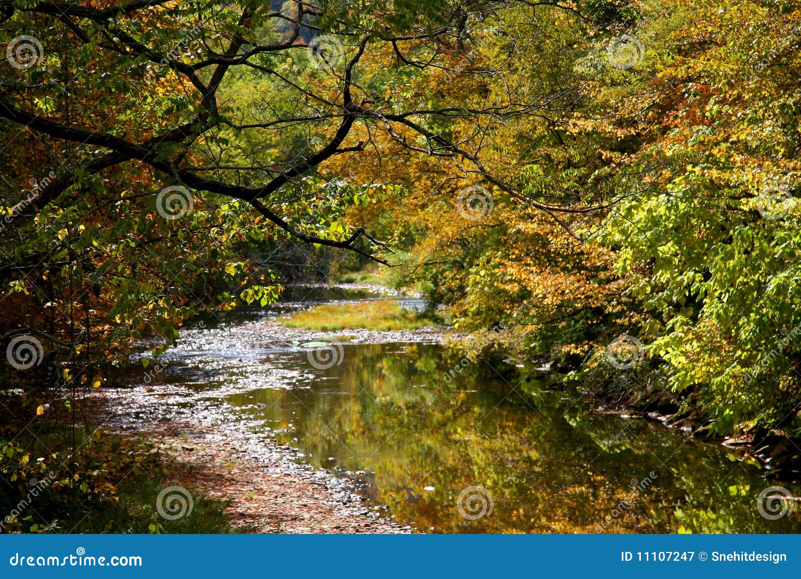 Stream through forest stock image. Image of relax, recreation - 11107247