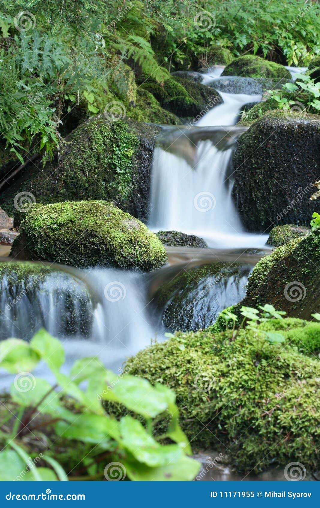 Stream in the Forest stock image. Image of splash, landscape - 11171955