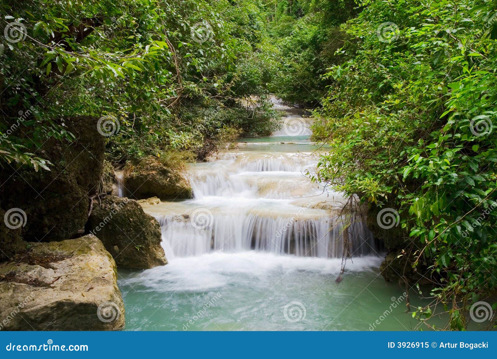 Stream through Forest stock image. Image of majestic, wilderness - 3926915