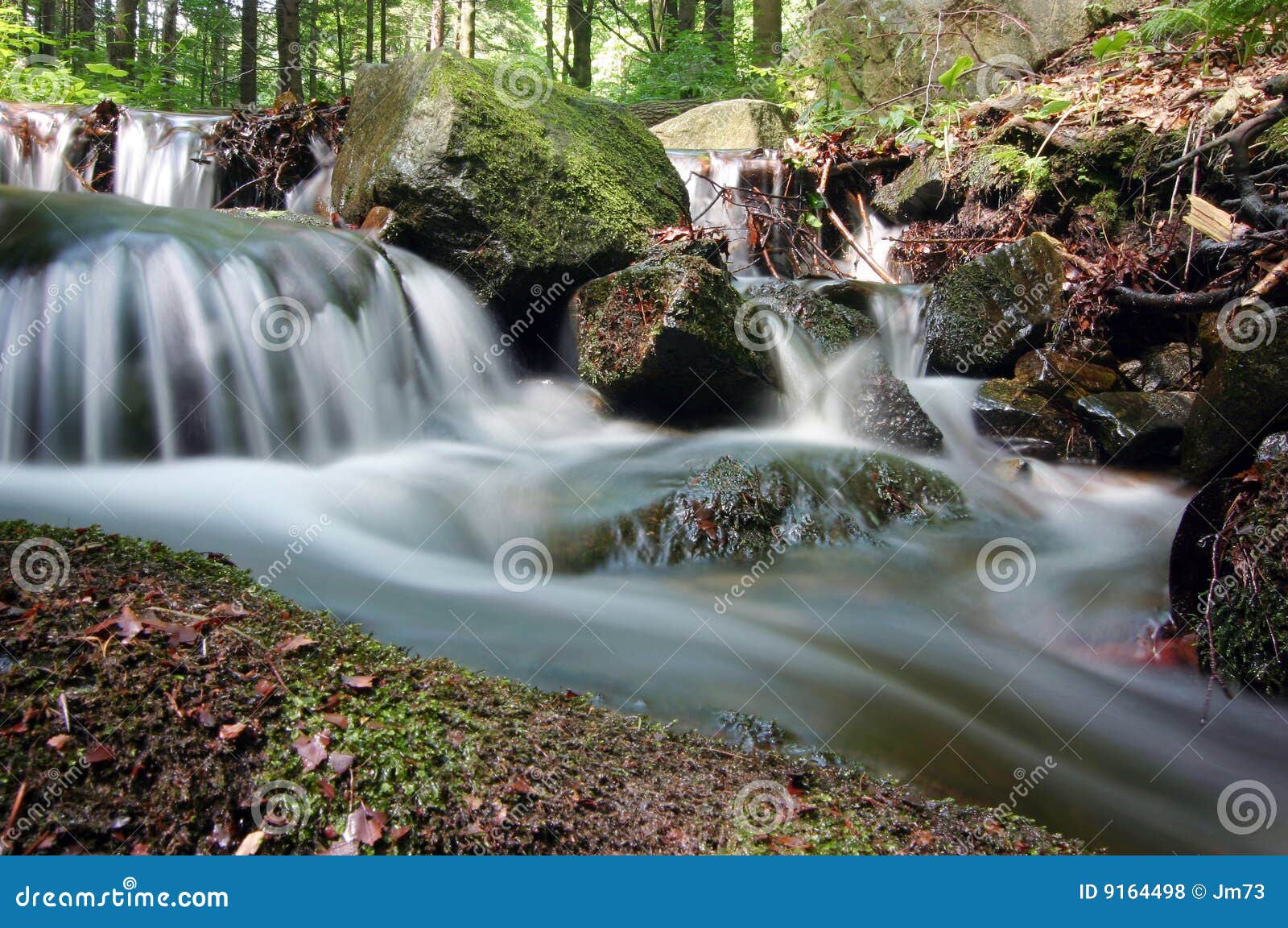 Stream in the forest stock photo. Image of fast, summer - 9164498