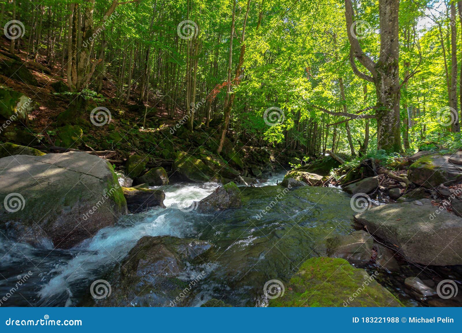 Stream in the Forest. Beautiful Nature Background Stock Photo - Image ...
