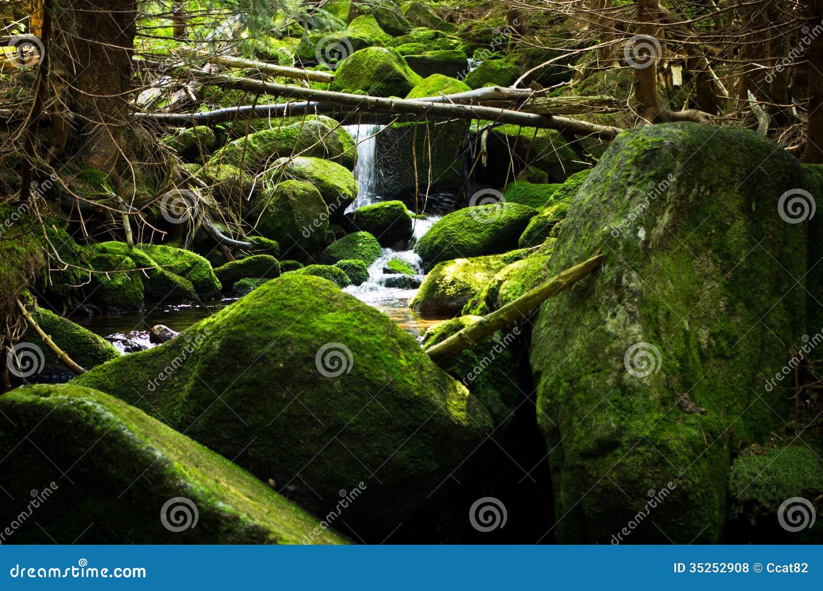 Stream in the forest stock photo. Image of light, flowing - 35252908