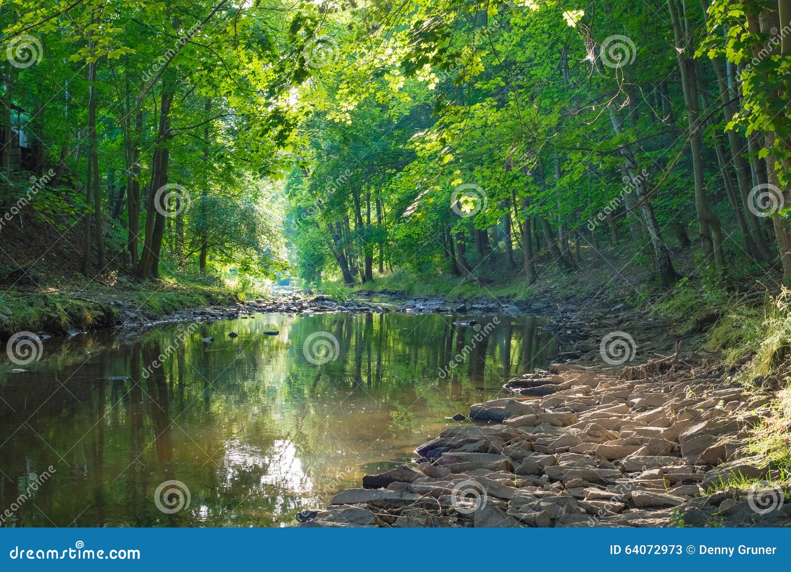 Stream in a forest III stock image. Image of stream, light - 64072973
