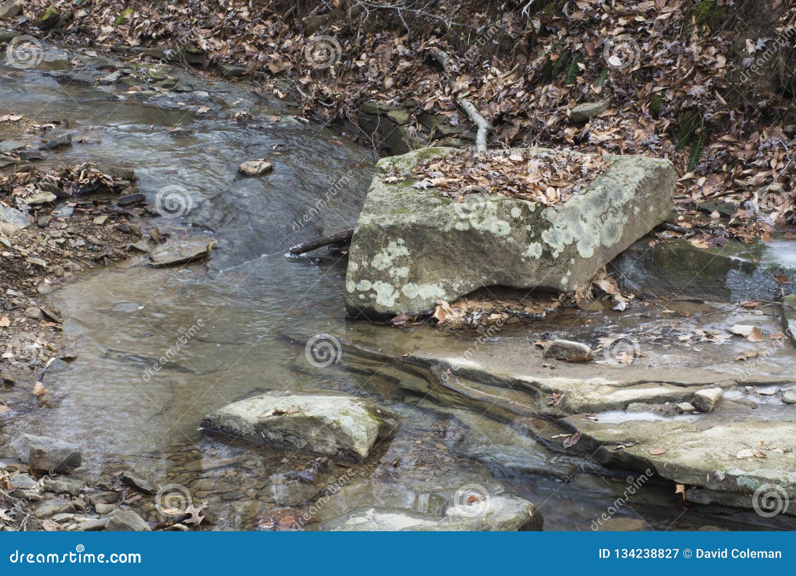 Stream in the Forest with Large Rock Stock Image - Image of leaves ...