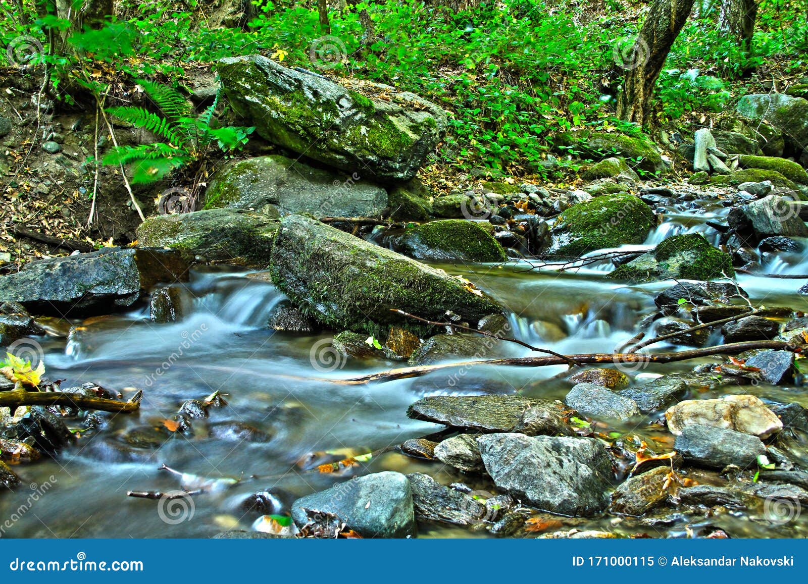 Stream in forest stock image. Image of river, organic - 171000115