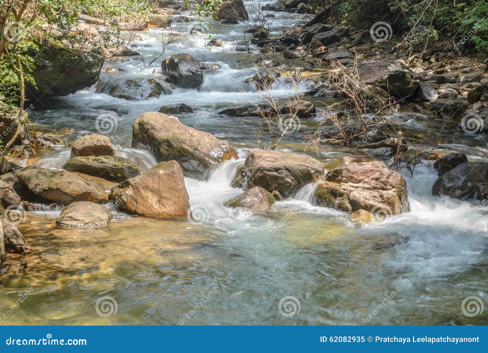 Stream in Forest, Nature Rill Flow Stock Image - Image of wilderness ...