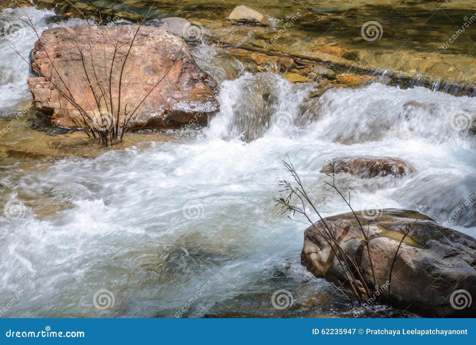 Stream in Forest, Nature Rill Flow Stock Image - Image of cascade ...